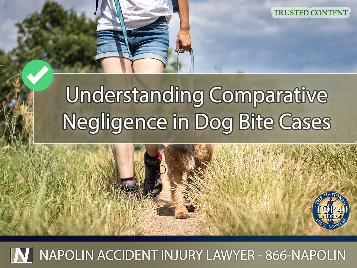 Understanding Comparative Negligence in Riverside, California Dog Bite ...
